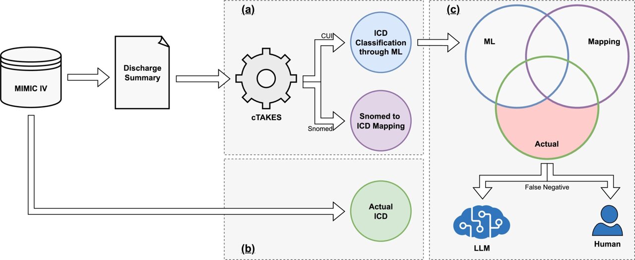 Humans outperform AI in disease coding test