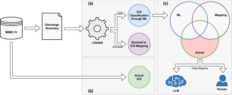 Humans outperform AI in disease coding test