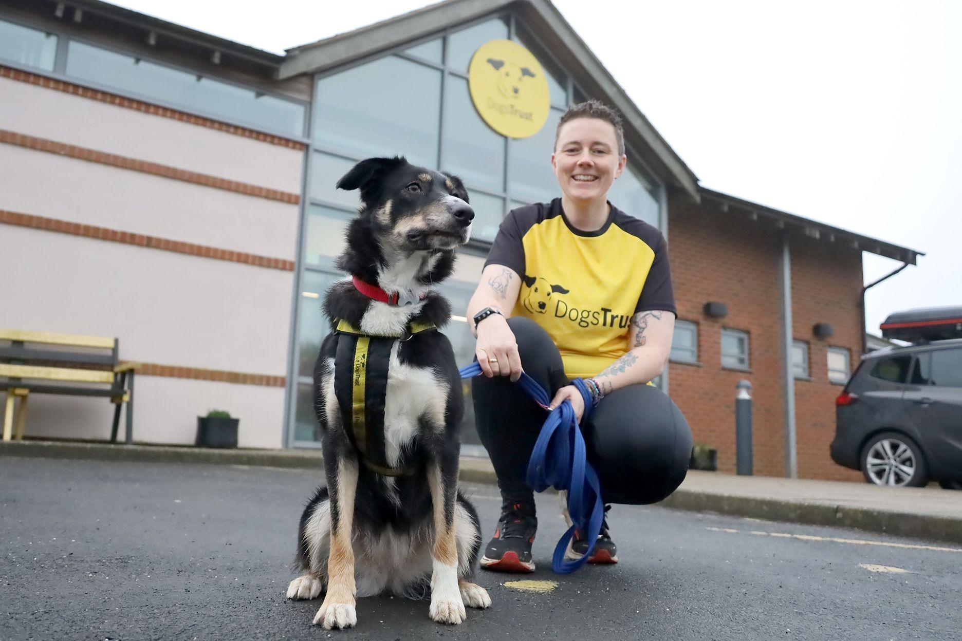 On your barks, set, go! Dogs Trust Leeds drums up support for member of ...