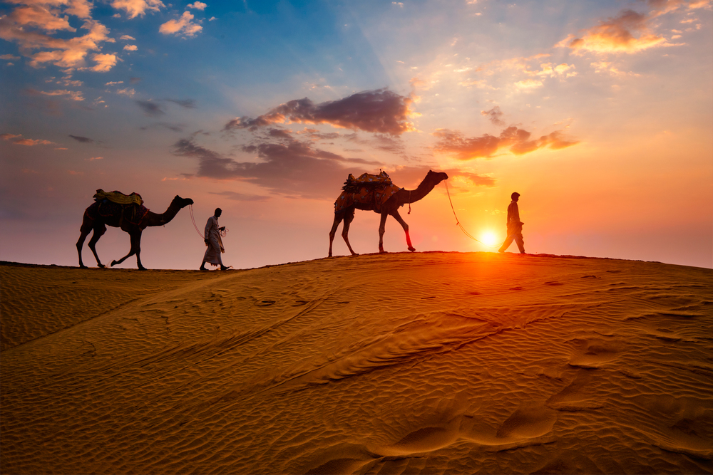 Safari Mistakes First-Timers Often Make