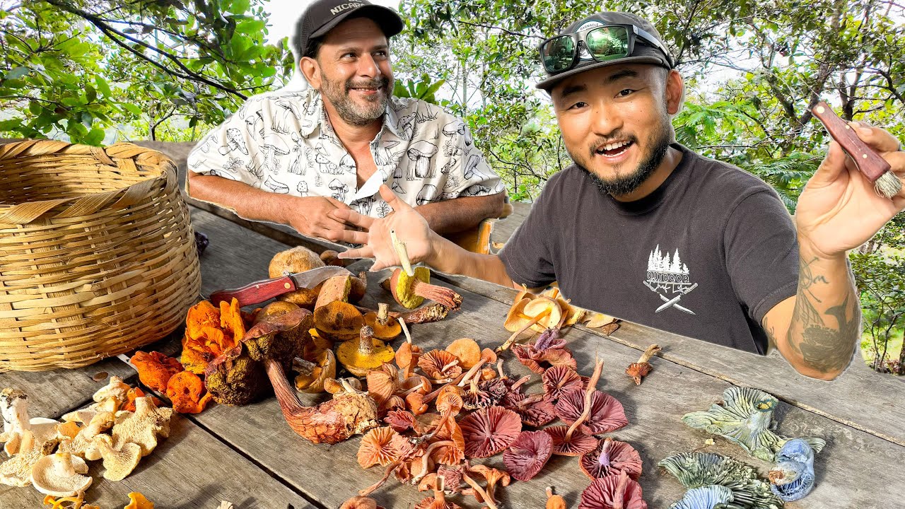17 Edible Mushrooms I’ve Never Tried! Foraging with Expert Mycologist ...