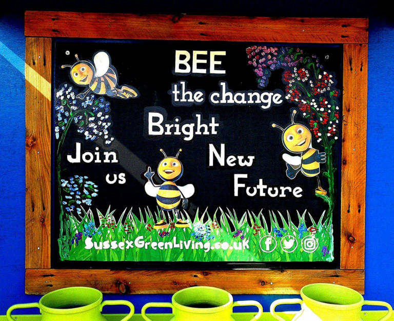 Sussex Green Living: Volunteers needed to inspire young people and grow ...