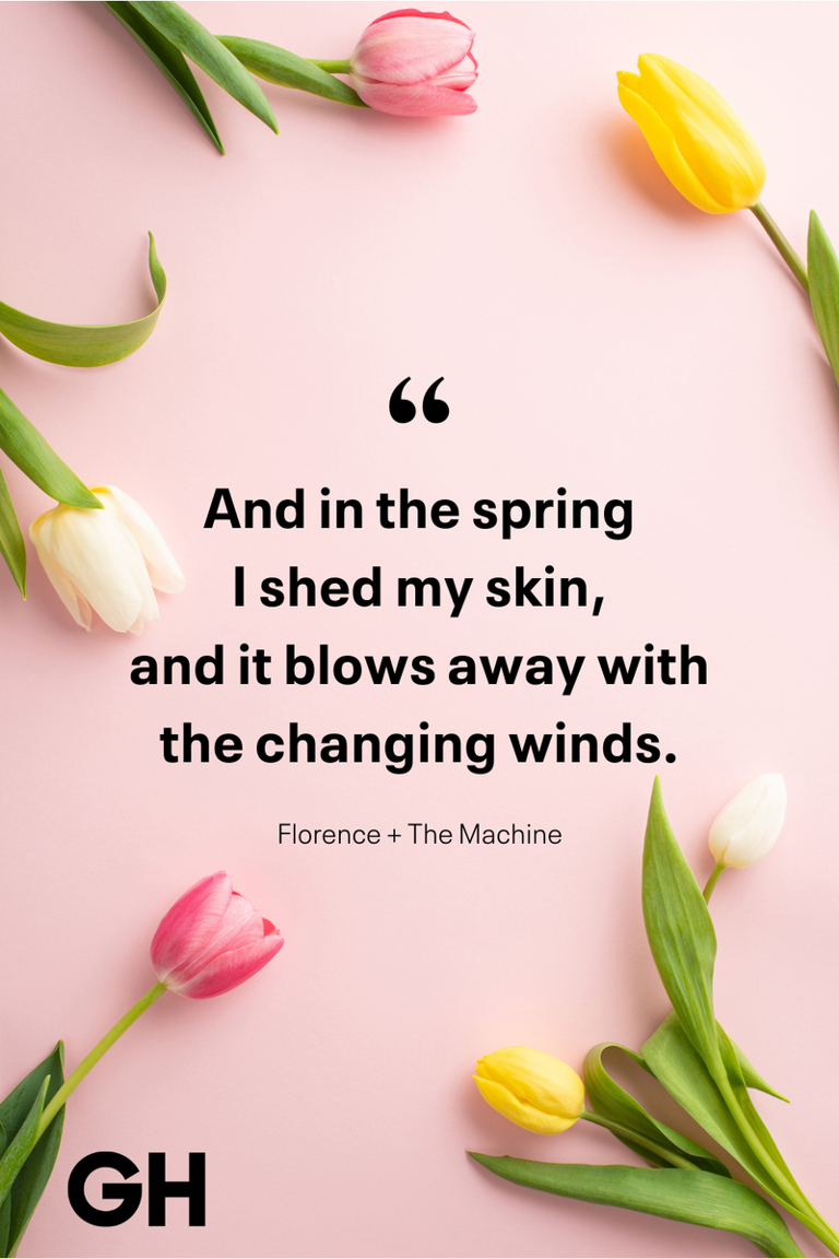 135 Best Spring Captions for Your Instagram-Worthy Snapshots