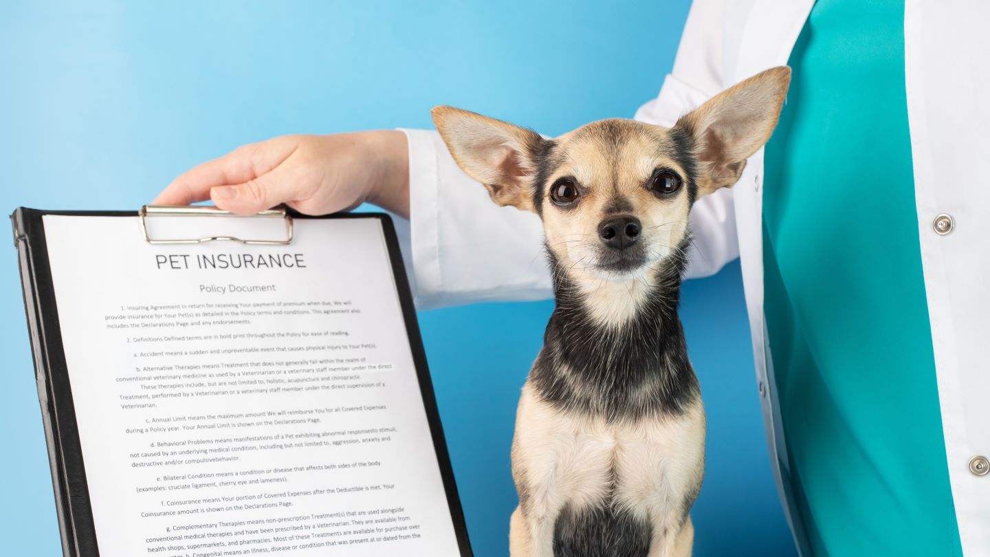 Pets Plus Us to provide pet insurance to CFIB members