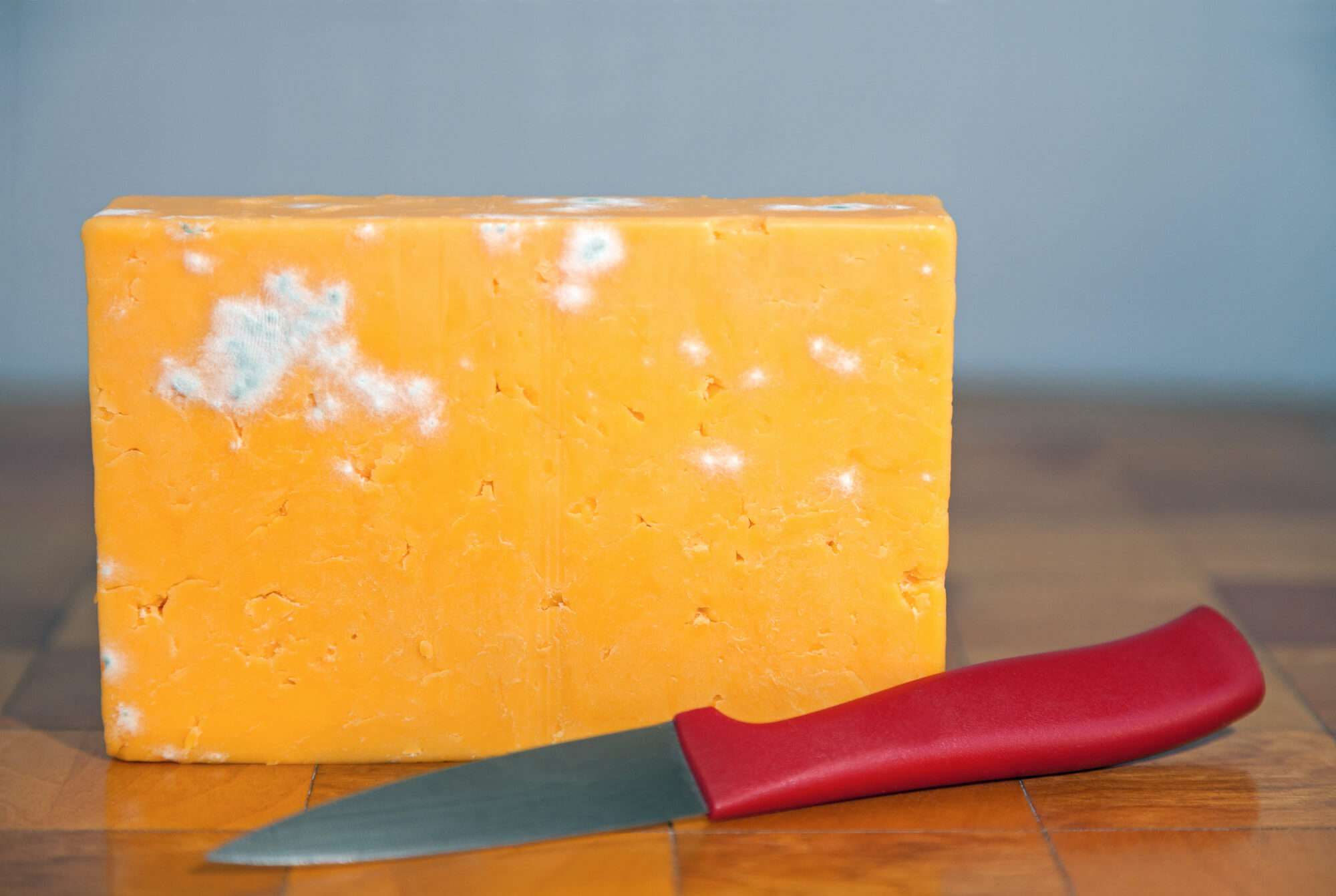 Can You Actually Eat Moldy Cheese?