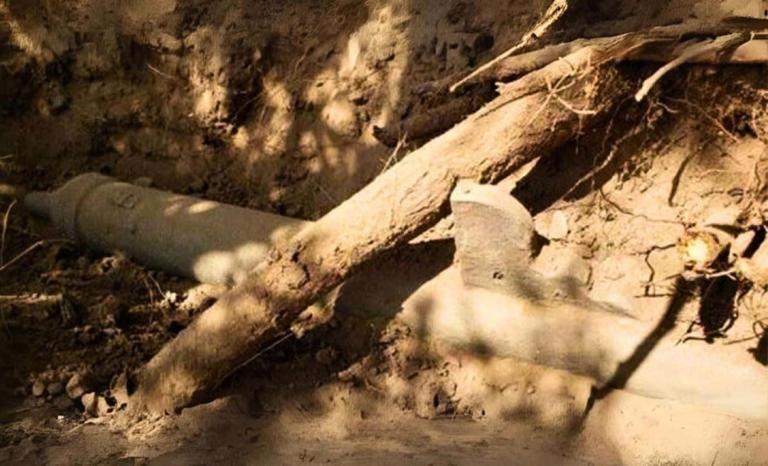 Archaeologists Uncover 480-Year-Old Lost Spanish Conquistador’s Cannon ...