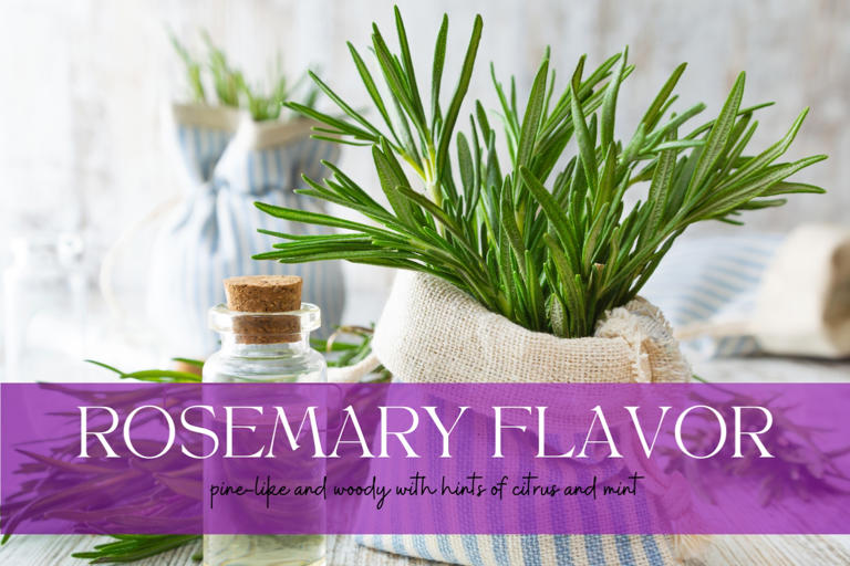 Tips to Prep, Cook, and Store Fresh Rosemary