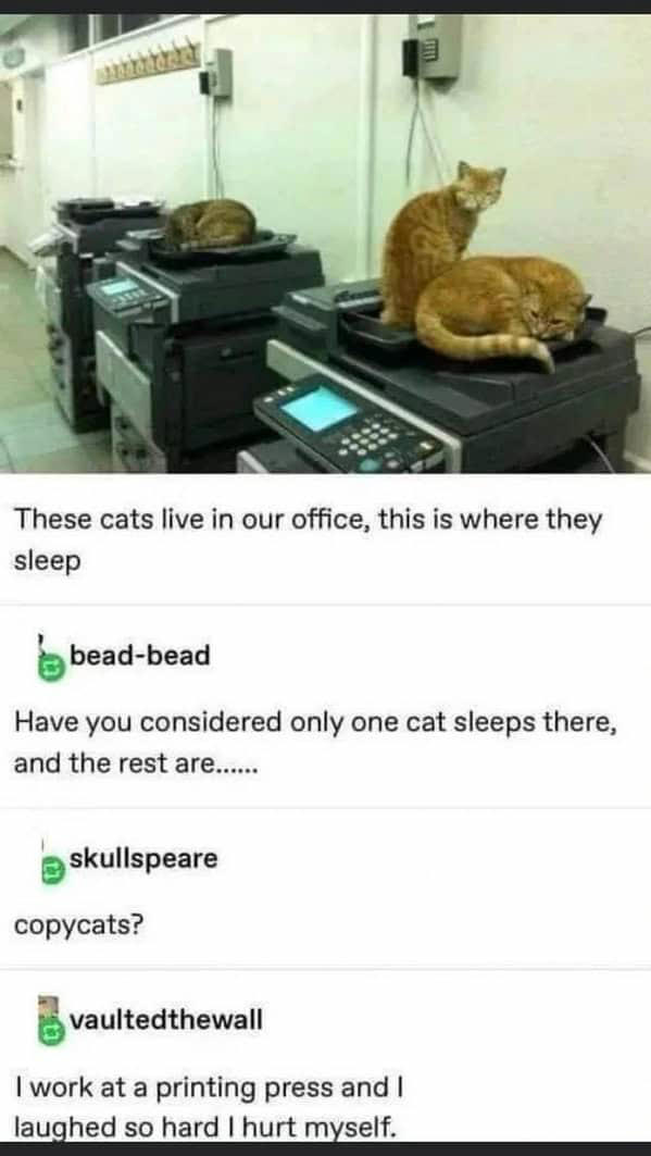 "Monday Punday": 40 Funny Pun Memes To Start Your Week With A Groan ...