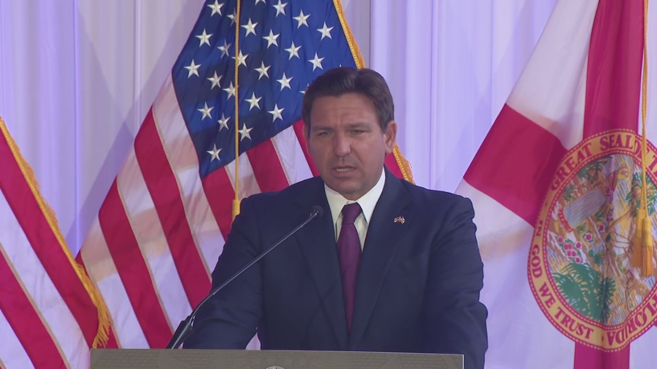 Governor DeSantis announces state DOGE task force focused on ...