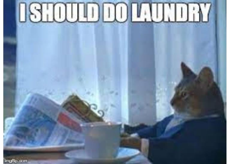 75 Funniest Clean Cat Memes