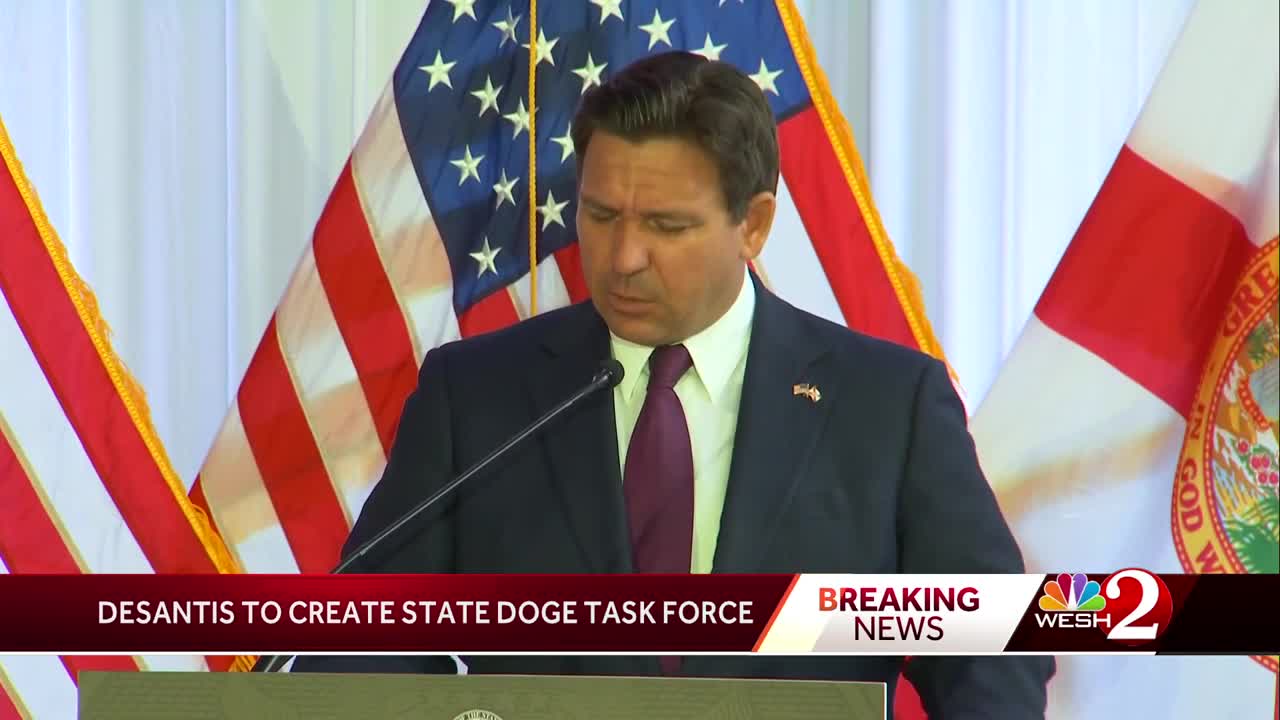 Florida Gov. DeSantis to create DOGE task force