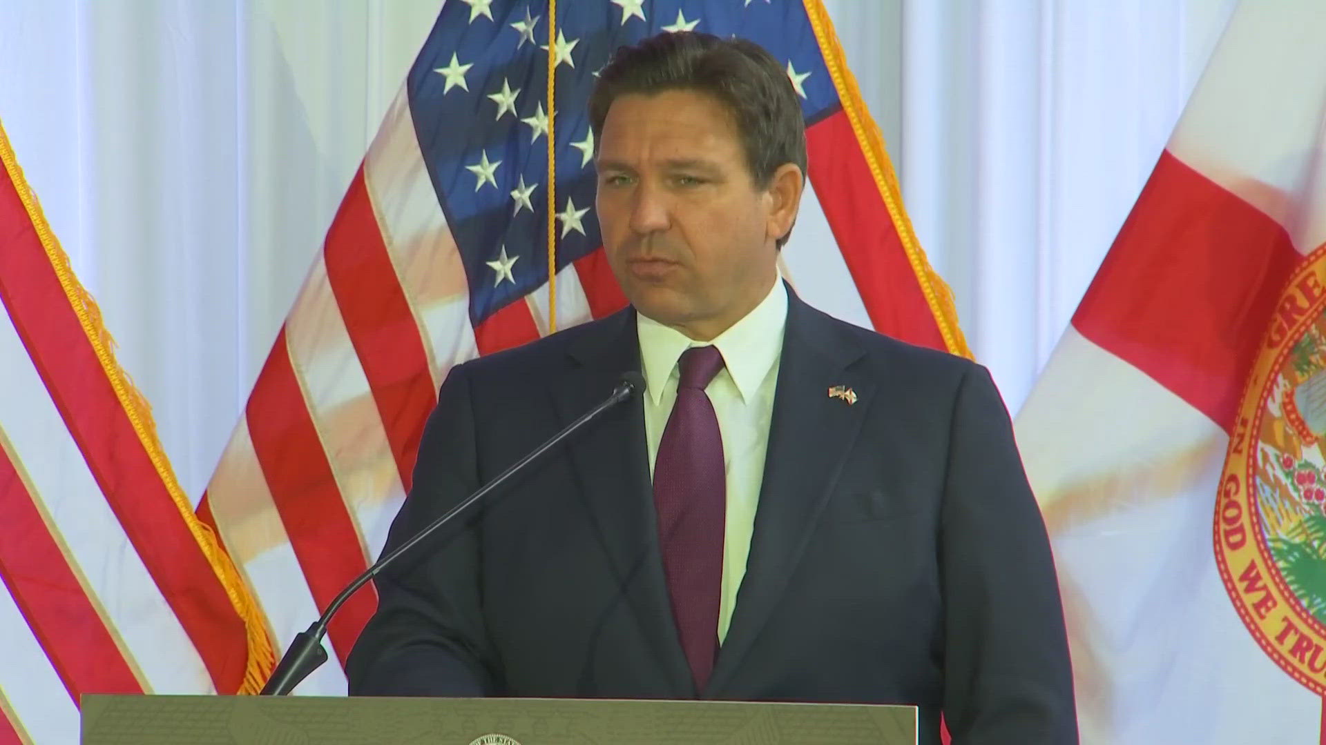 DeSantis announces creation of Florida DOGE task force