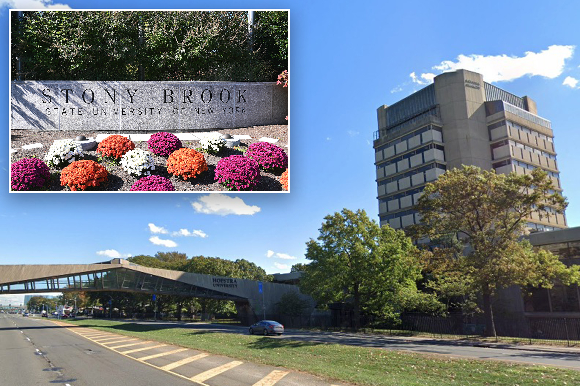 Long Island college programs’ ranks soar in latest US News & World Report