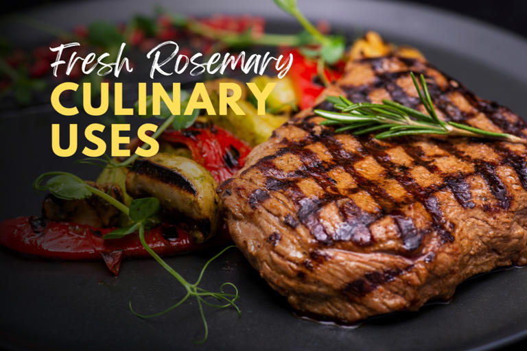 Tips to Prep, Cook, and Store Fresh Rosemary