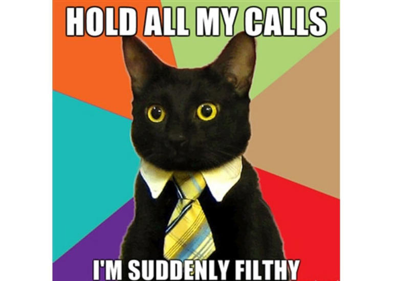 75 Funniest Clean Cat Memes