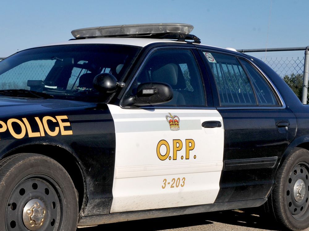 Lakeshore driver charged after vehicle goes in ditch