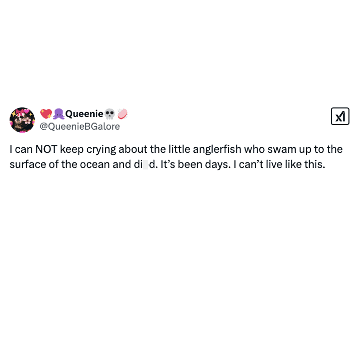 21 Teary-Eyed Memes About The Anglerfish Who Mysteriously Swam To ...