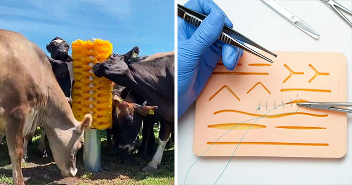 40 Interesting Tools That Only People In Very Specific Fields Get To See