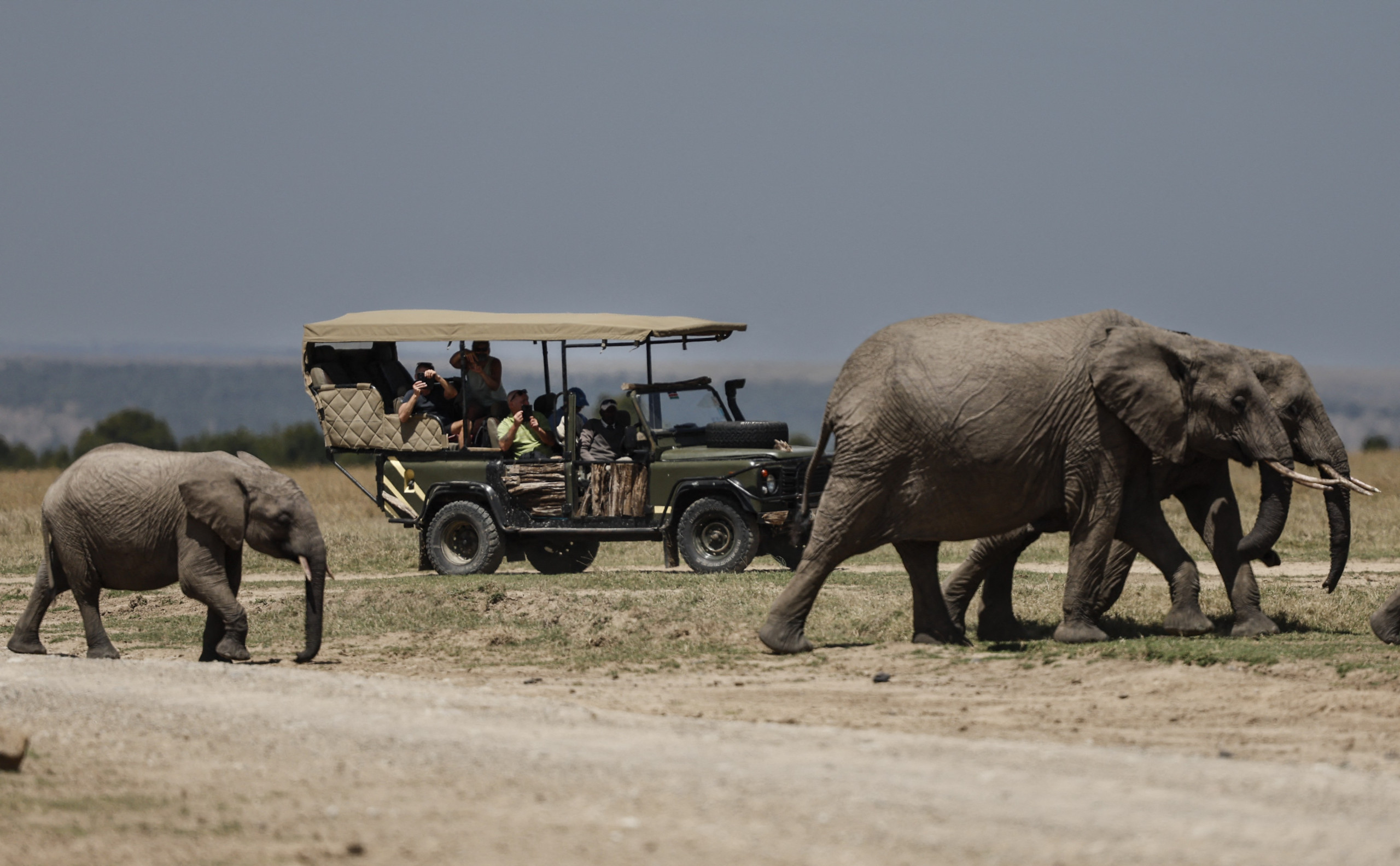 How to have an ethical wildlife experience