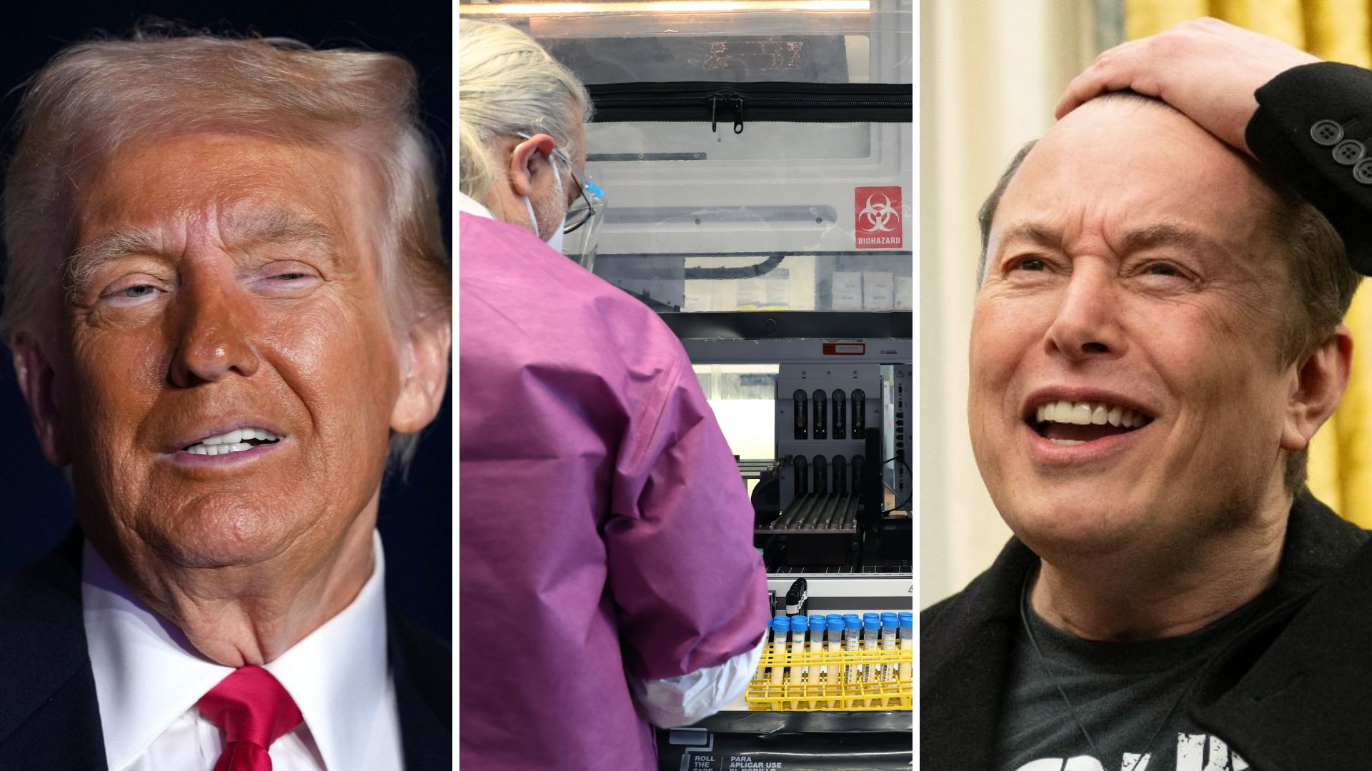 Des licenciements de Musk et Trump pourraient compromettre la lutte à ...