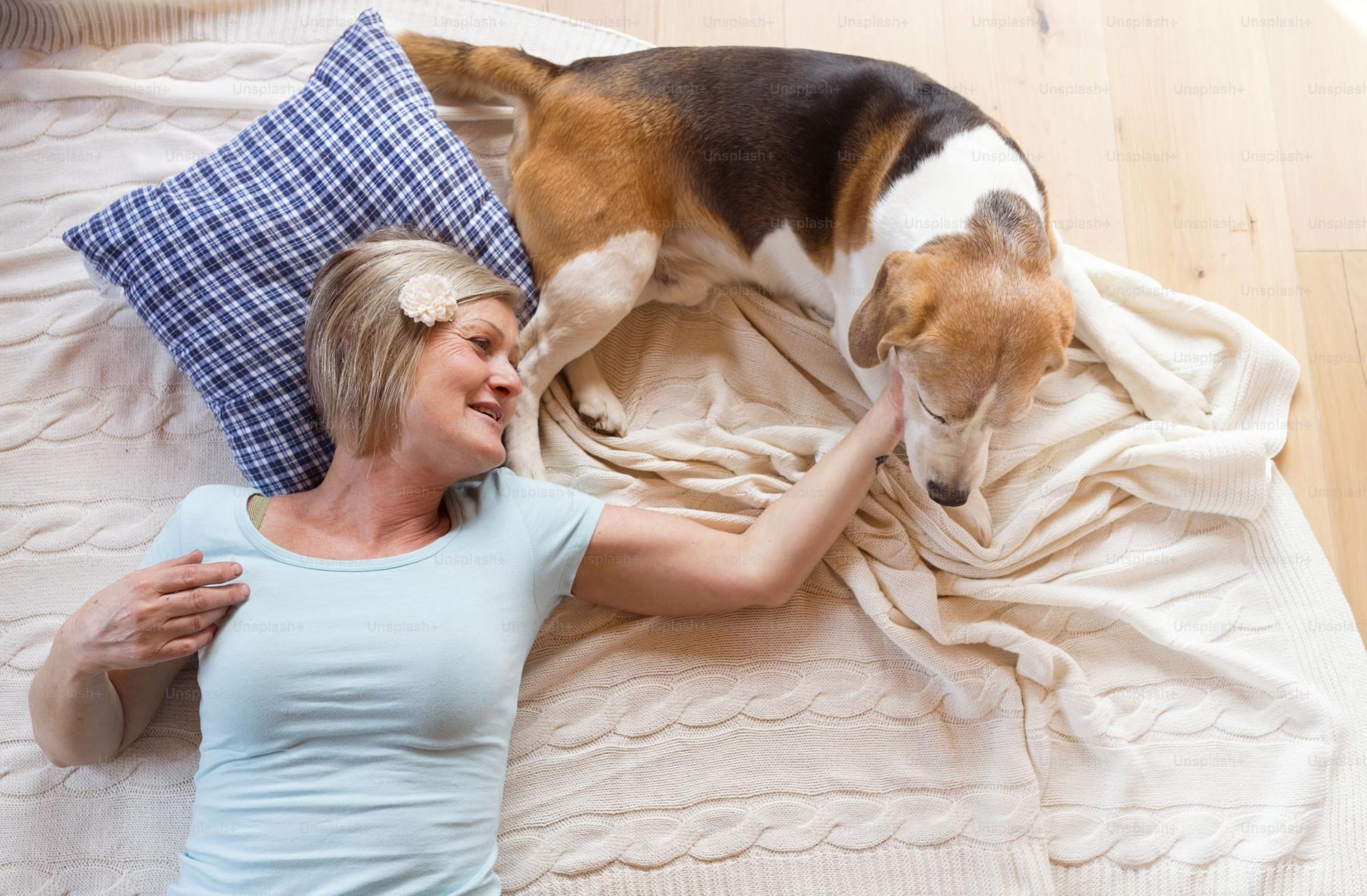 Two in ten Geordie woman think their dog is more reliable than their ...