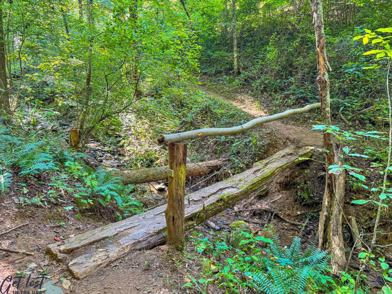 10 Unforgettable Outdoor Adventures in Southwest Virginia