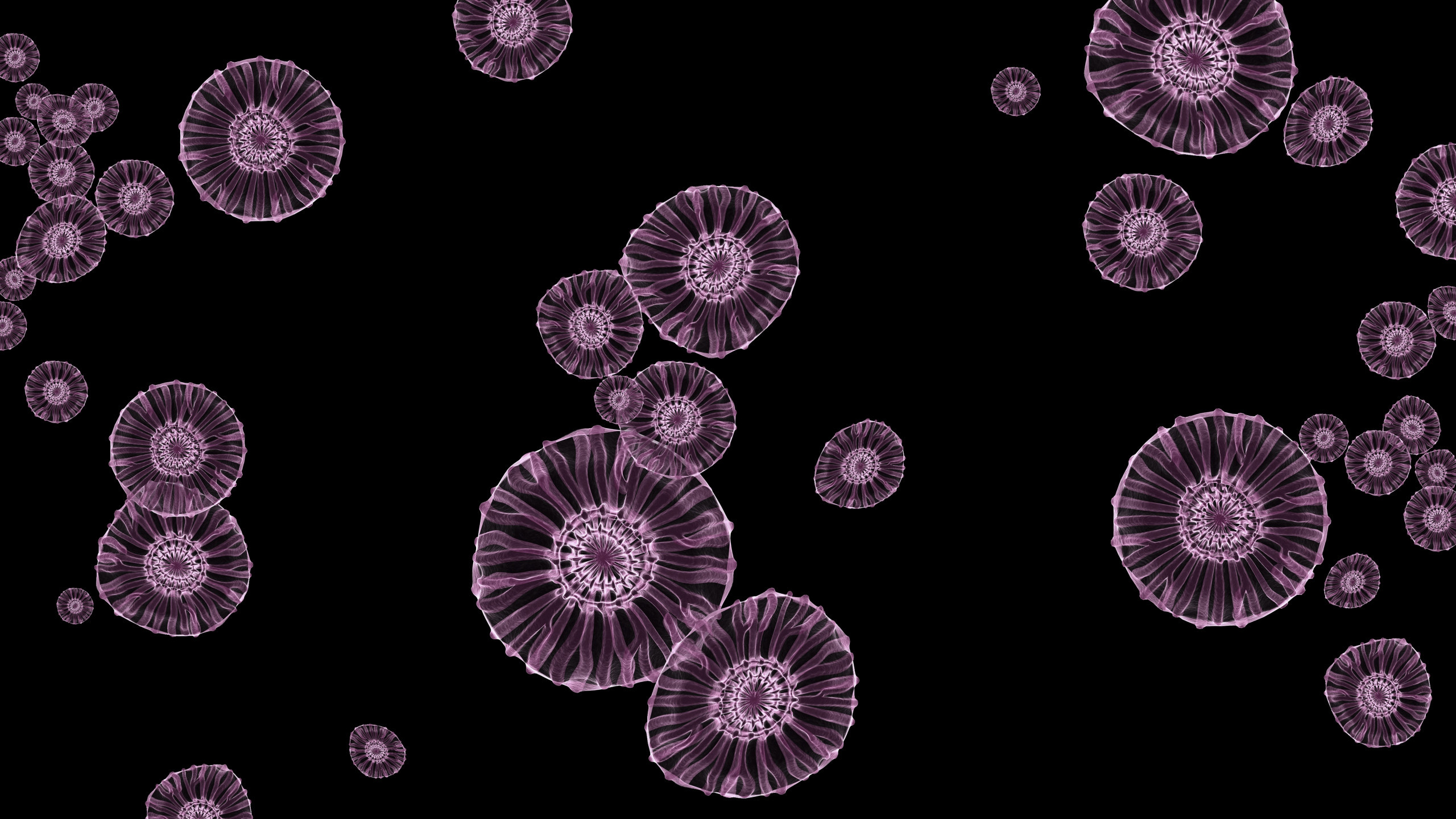 COVID-like virus detected in the lab that allegedly leaked coronavirus