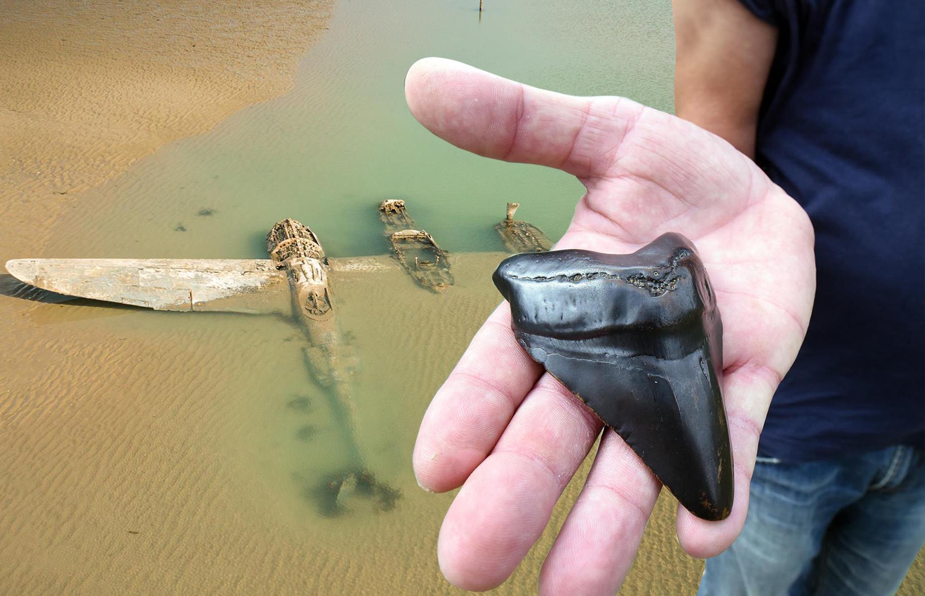 The STRANGEST Things That Have Washed Up On Beaches