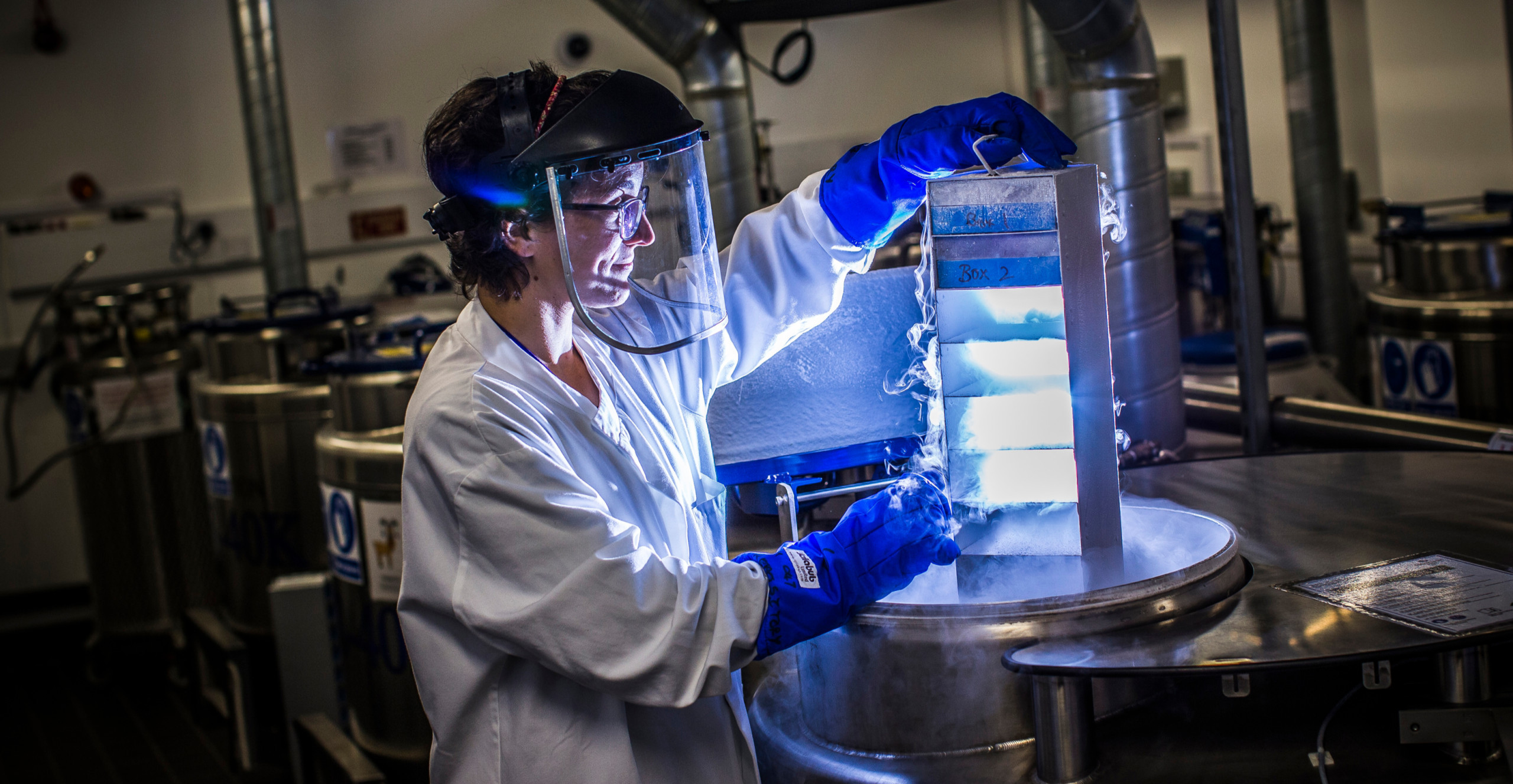 A groundbreaking discovery in cancer drug development