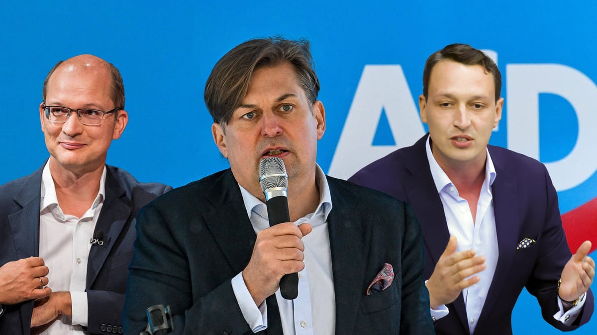 AfD-Fraktion im Bundestag: Alte und neue Gesichter – das wird knallen