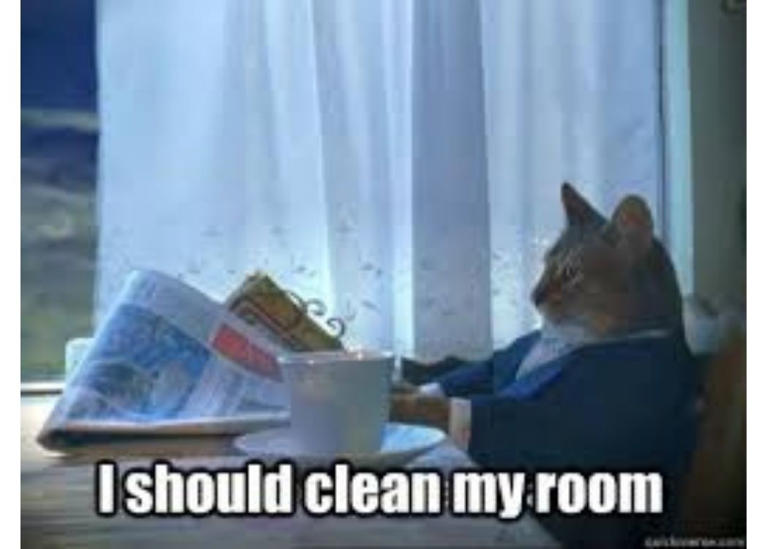 75 Funniest Clean Cat Memes