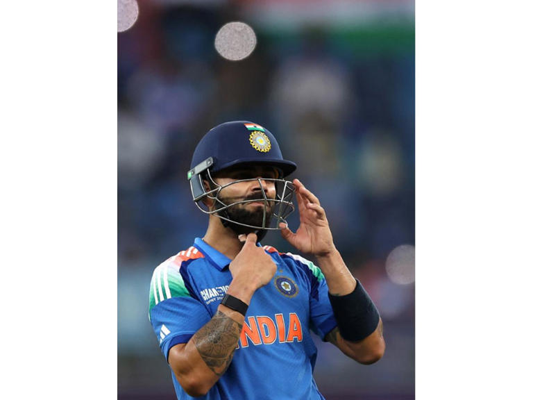 100+ Peace Quotes To Embrace Calm & Serenity Through Wise Words