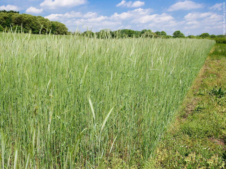 Montague farm’s projects impacted by frozen federal grant funding