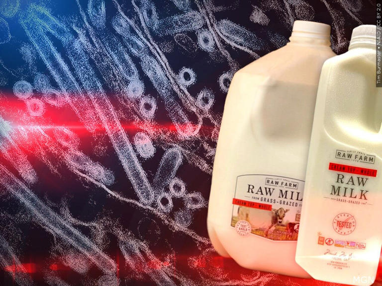 Minnesota statewide raw milk testing detects H5N1 in dairy herd