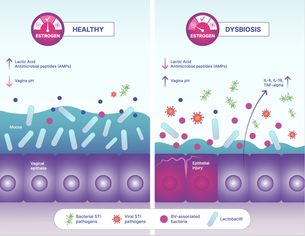 Why You Should Care About Your Vaginal Microbiome