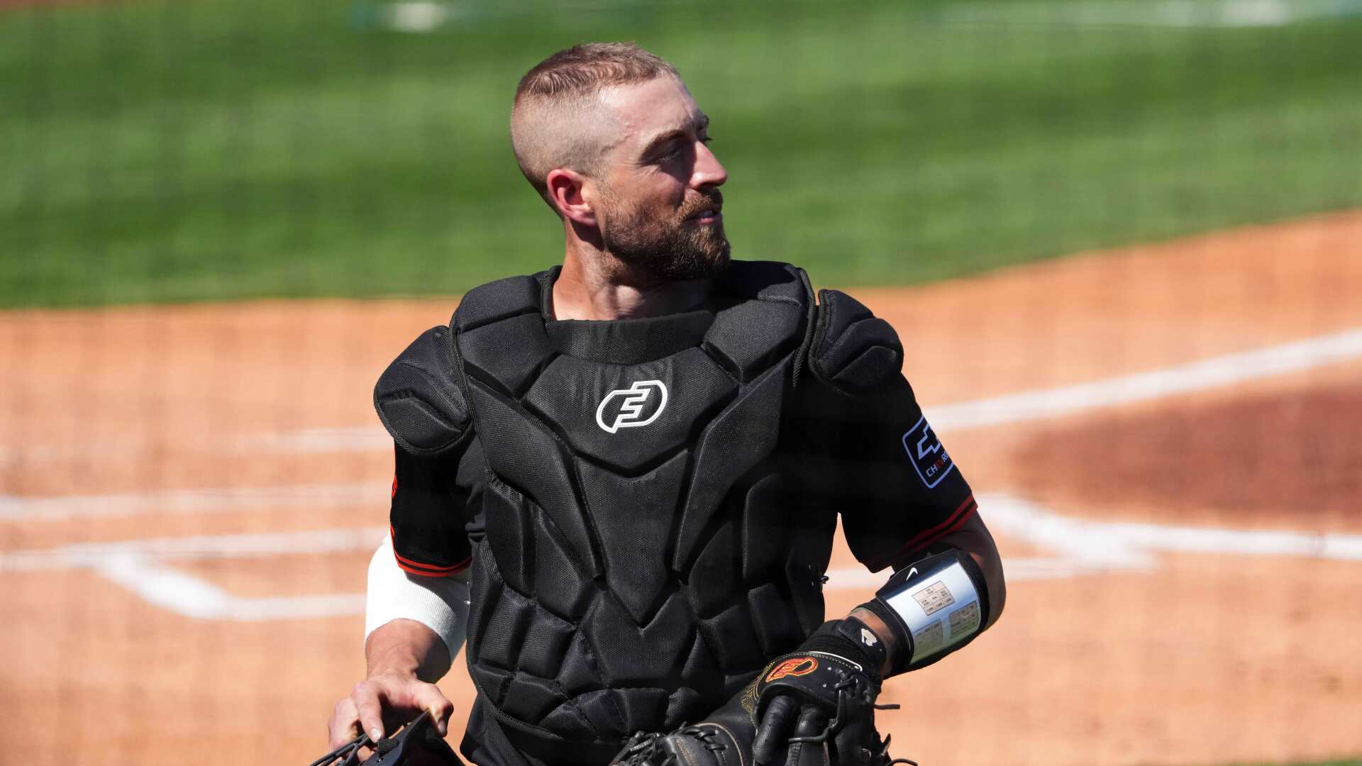 Giants' Tom Murphy sidelined at spring training by herniated disk in ...