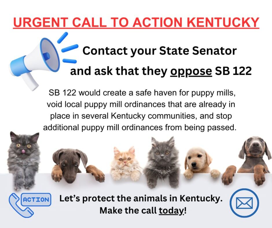 Kentucky animal advocates oppose proposed legislation on breeding ...