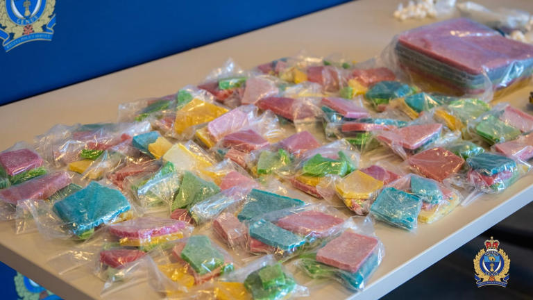 University of Regina Rams players among 5 people charged in drug ...