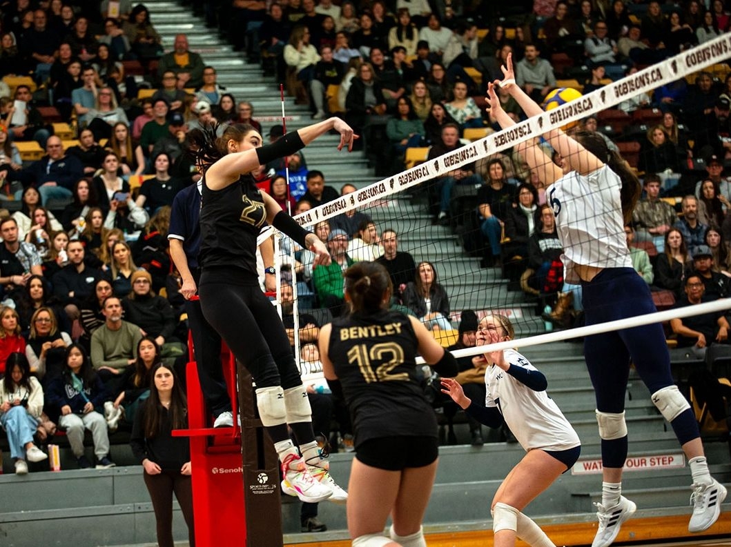 Bisons, Wesmen clash in CanWest men's volleyball rivalry