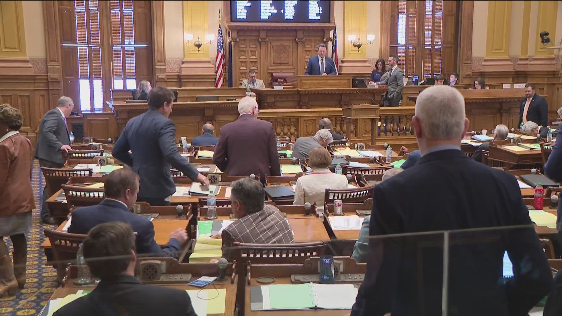 Georgia State Senate passes 'DOGE lite' measure