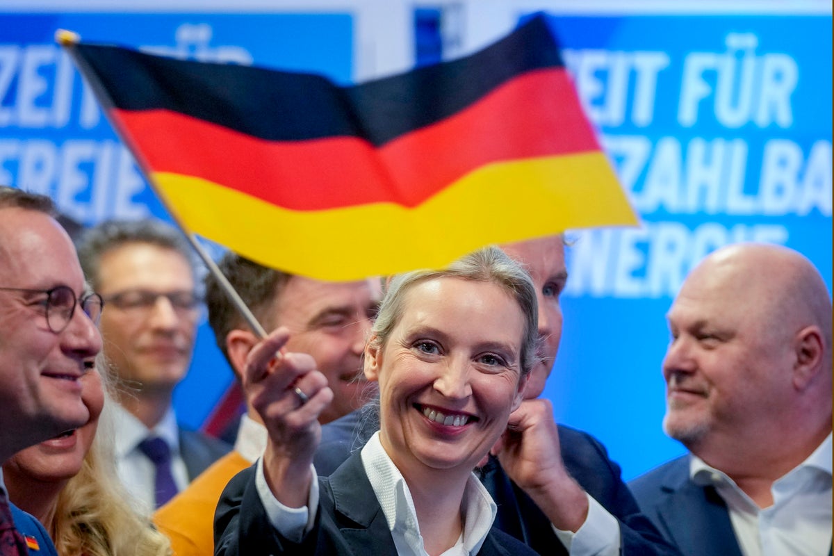 Who are the AfD? Germany’s new far-right opposition and the subject of ...