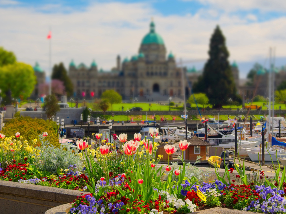 Discovery Fun at These 7 Museums in Victoria, British Columbia