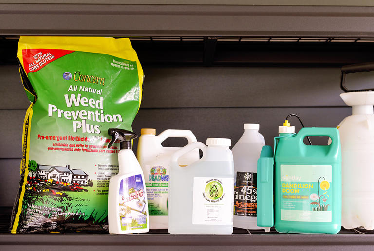 We Tested Five Low-Toxicity Weed Killers, and Our Favorite Worked ...