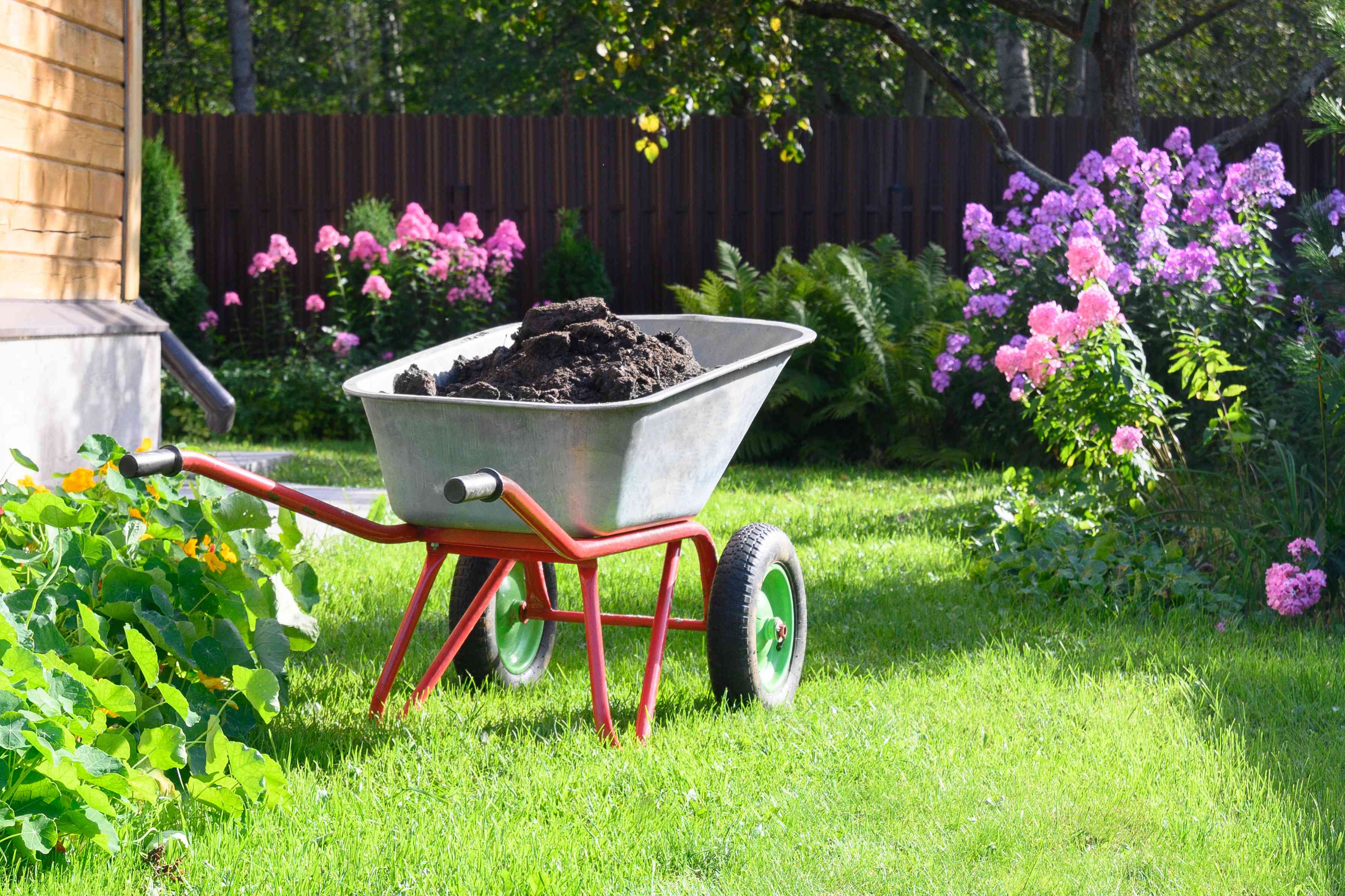 How to Improve Sandy Soil for a Healthy, Thriving Garden