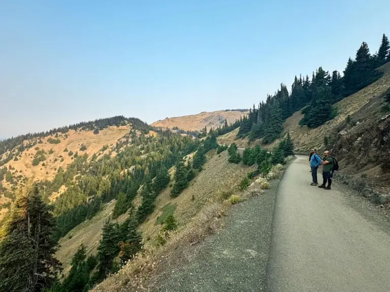 12 Incredible Hikes in Olympic National Park