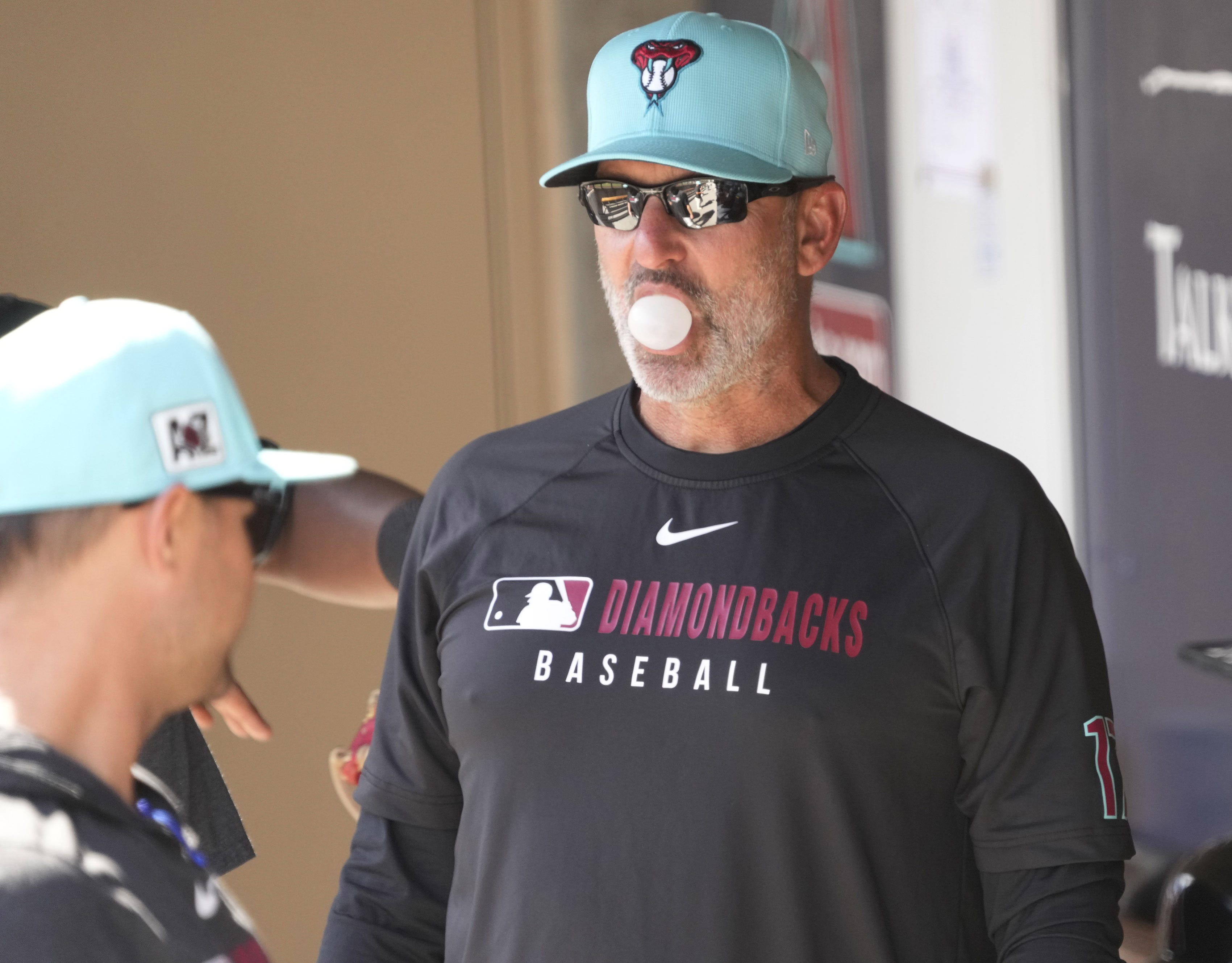 Arizona Diamondbacks notes: Lovullo mulls options for heart of lineup ...