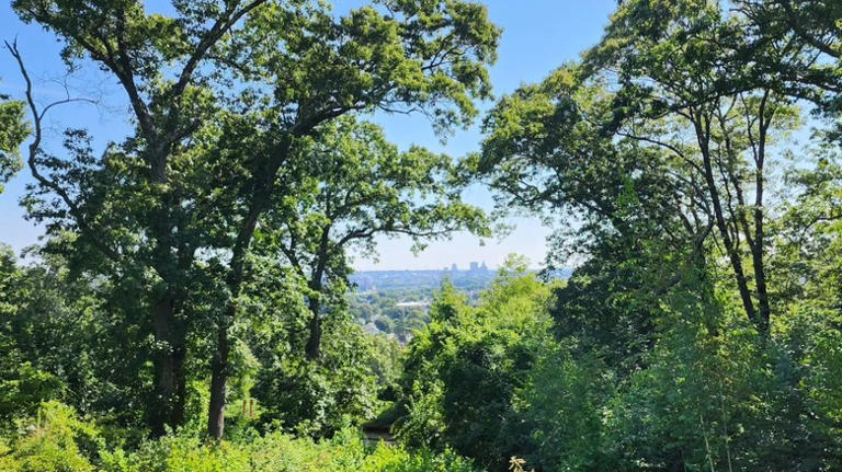 Rhode Island's Urban Hilltop Park Offers Serene Trails, Rich History ...