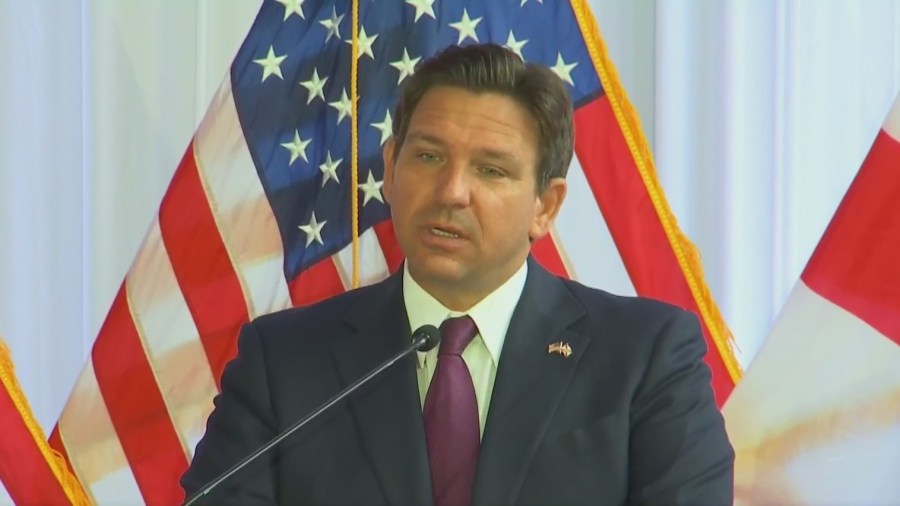 Florida Gov. DeSantis announces ‘state DOGE task force’