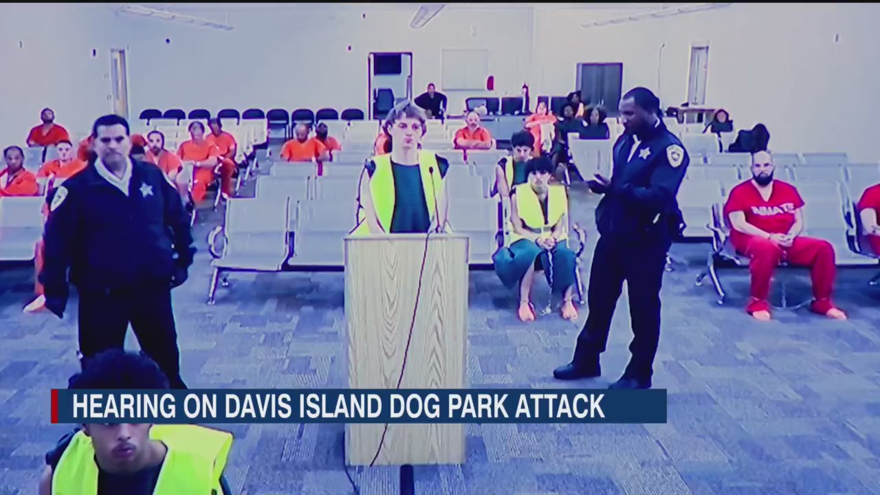 Suspects in Davis Islands Dog Park attack appear in court