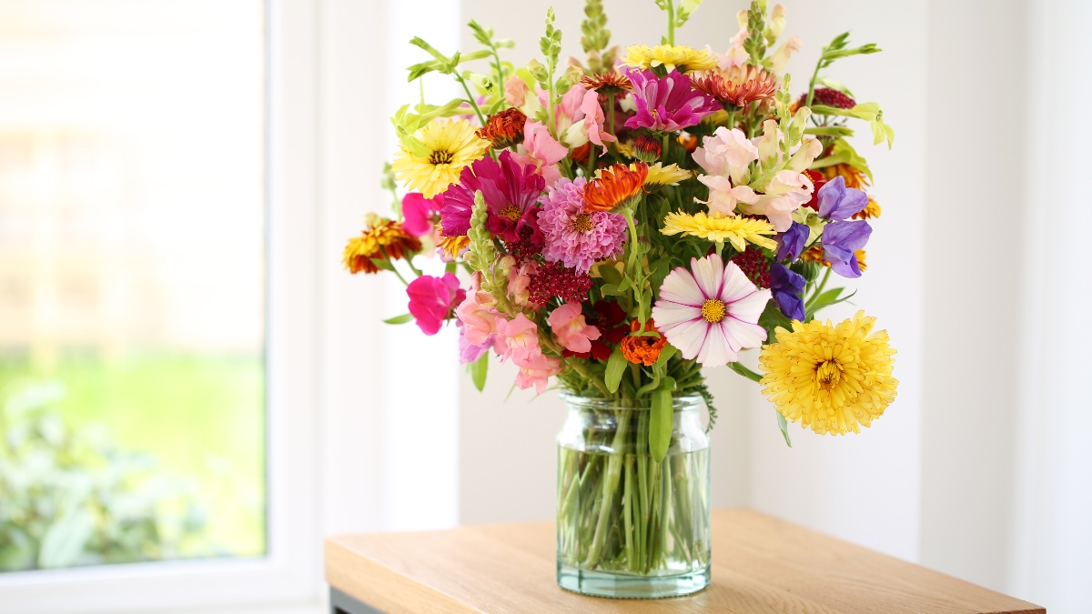 Mini Holidays from February 24 to March 1 For You to Celebrate